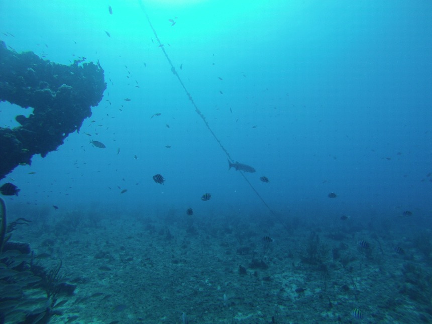 Day 18- RMS Rhone Wreck Dive Day - ActionQuest Summer Adventure Camps ...