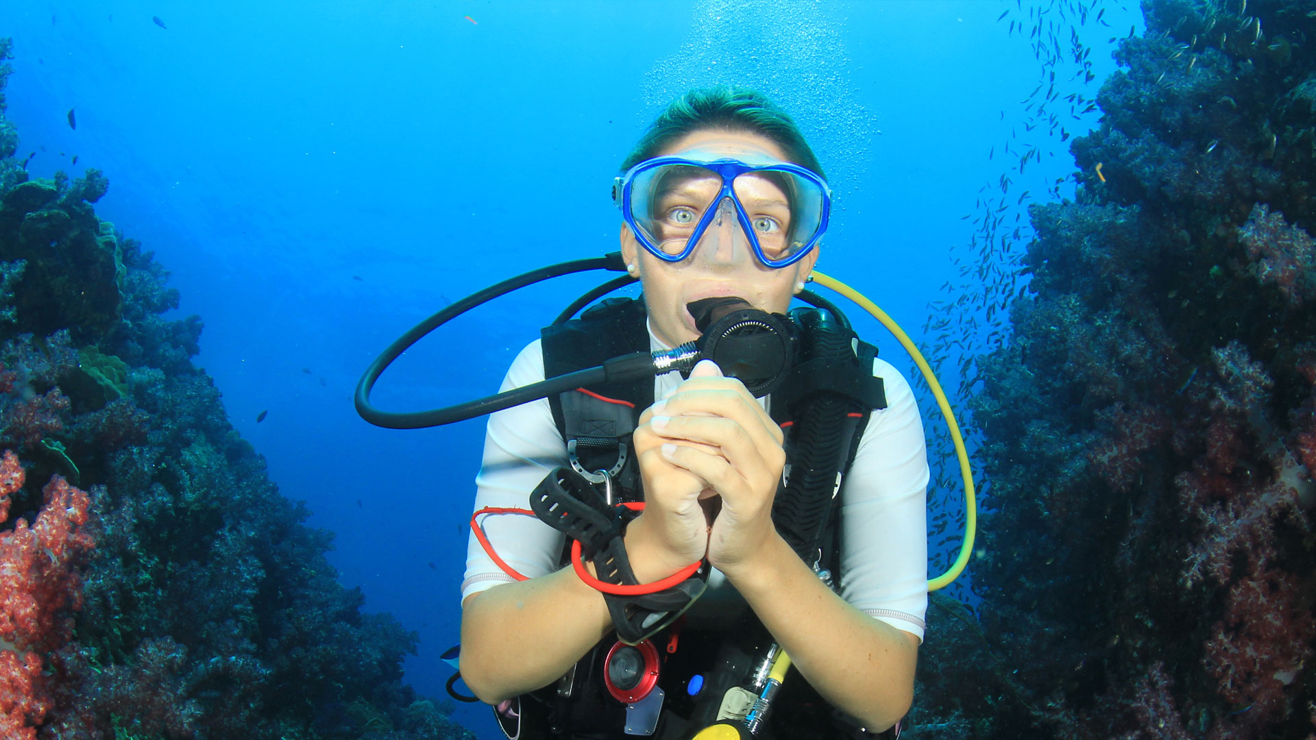 Scuba Summer Camp & Sailing Program | Aquarius Adventure