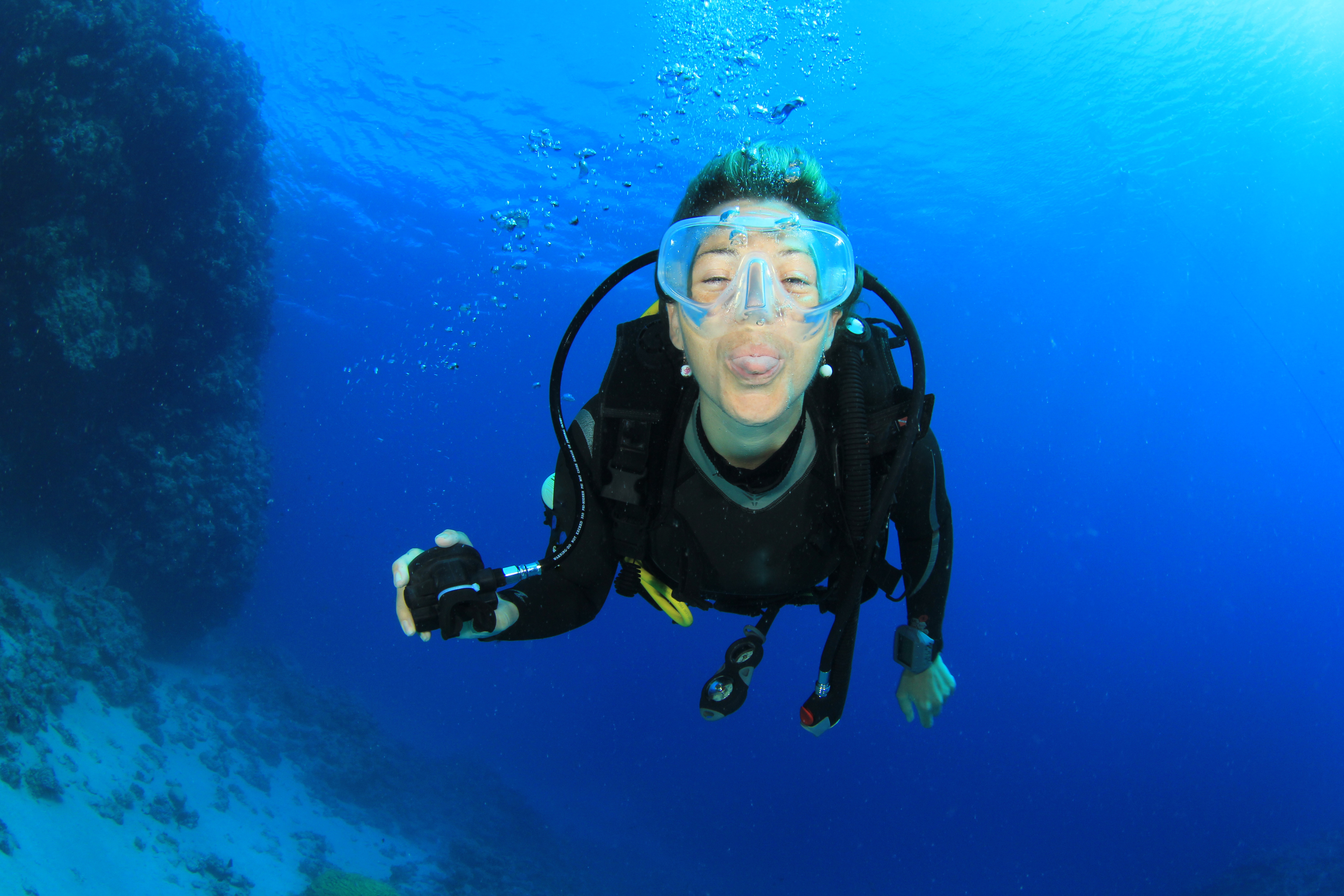 Scuba Review Quiz - ActionQuest